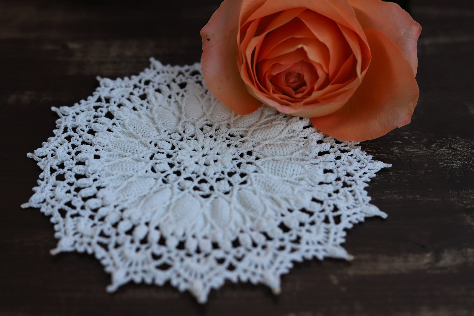 PDF Pattern Sarah Doily by Gull808 Crochet Doily Pattern - Etsy