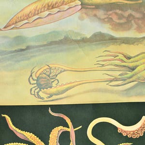 Canvas Wall Chart of the Squid by Jung Koch Quentell - Etsy