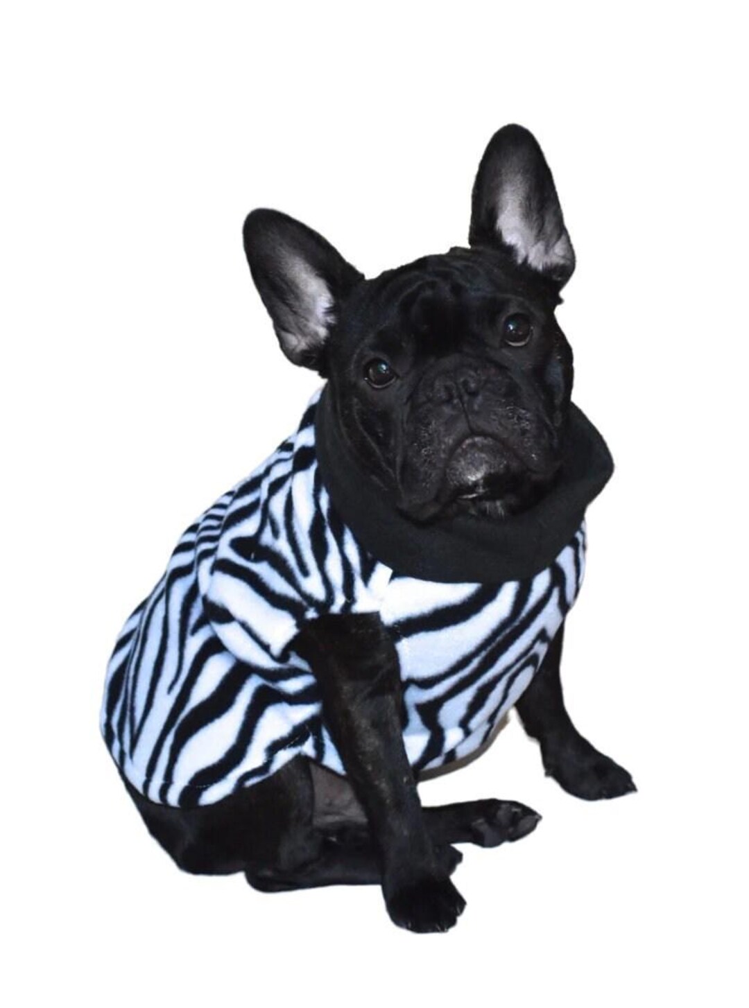 Zebra Print Fleece Dog Sweater, Fall Dog Sweater, Sweater for French ...