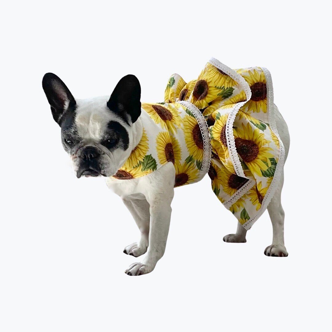 Sunflowers Dog Dress, Yellow Dog Dress, Ruffle Dog Dress, Floral Dog ...