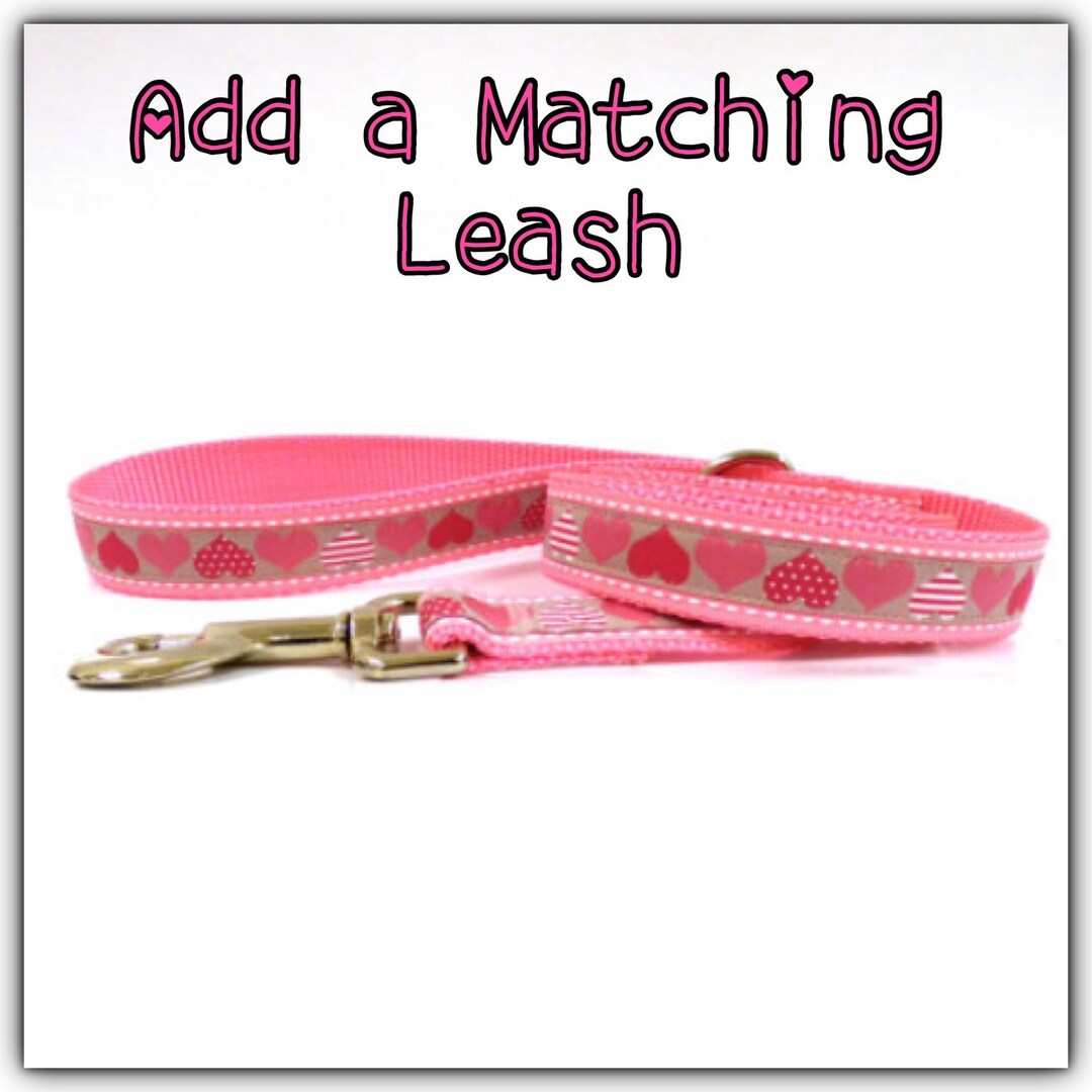 ANY Ribbon Dog Leash/ Ribbon Dog Lead/ Woven Ribbon -5/8 Inch, 3/4 Inch ...