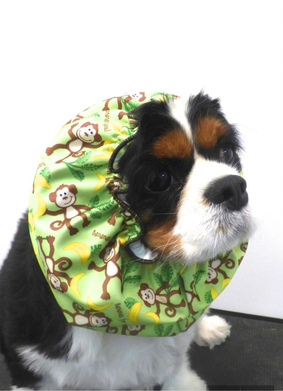 WATERPROOF Pet Snood, Waterproof Dog Snood, Snood for Cavalier King ...