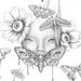 Moth Surreal Pencil Drawing, Limited Signed Print, Size 13inx19in, Size ...