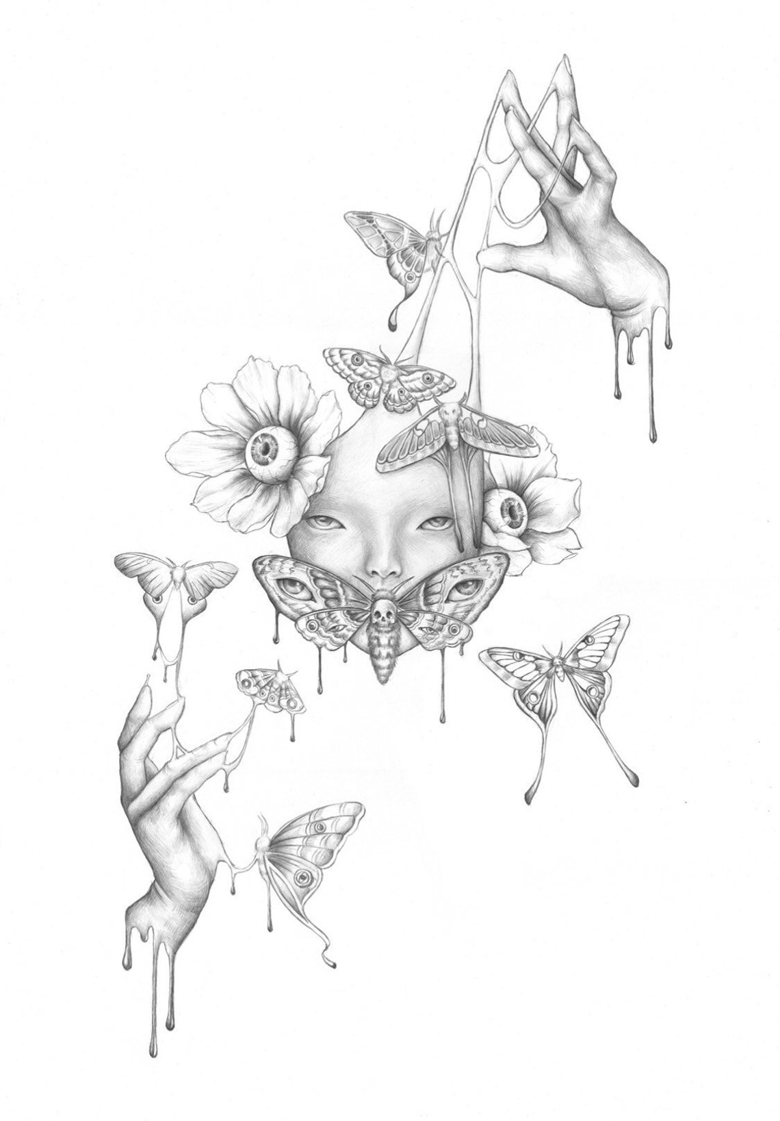 Moth Surreal Pencil Drawing, Limited Signed Print, Size 13inx19in, Size ...