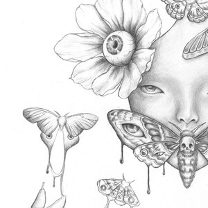 Moth Surreal Pencil Drawing, Limited Signed Print, Size 13inx19in, Size ...