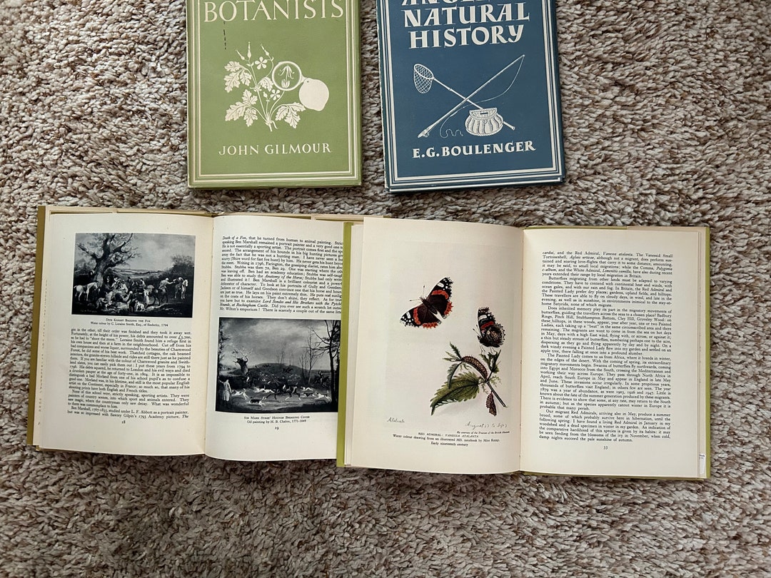 4 Old British Books, Botanists, Anglers, Butterflies - Etsy