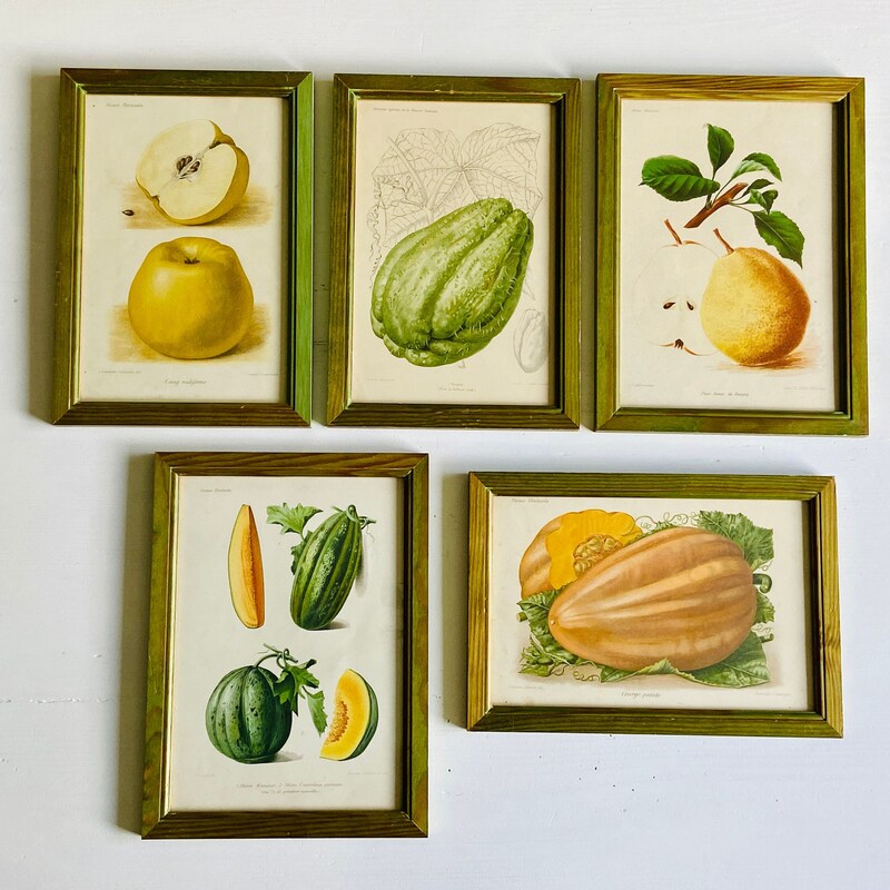 Fruit Prints - Etsy