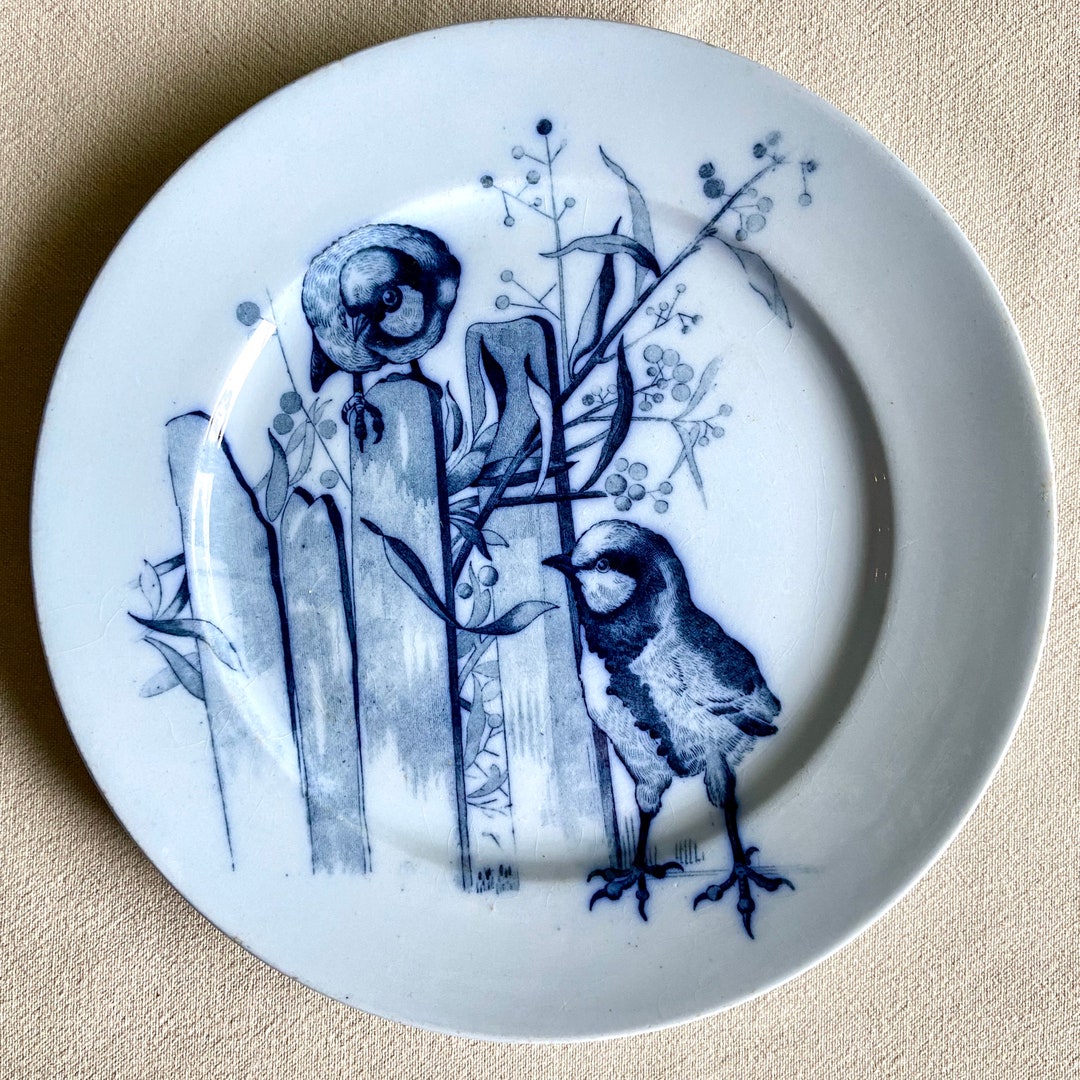 Antique Plate, Rare Bird Pattern Canova by Brown Westhead & Moore BWM ...