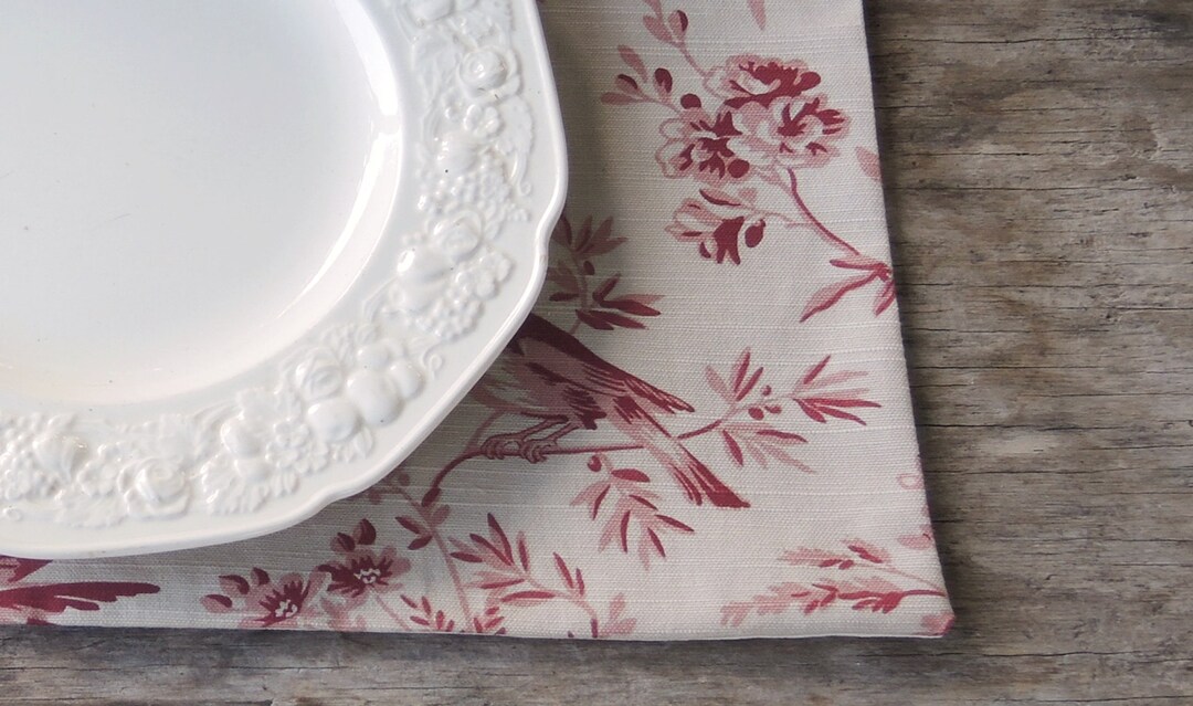 Red Aviary Toile Lined Placemats Set of 4 Birds and Flowers Pattern ...