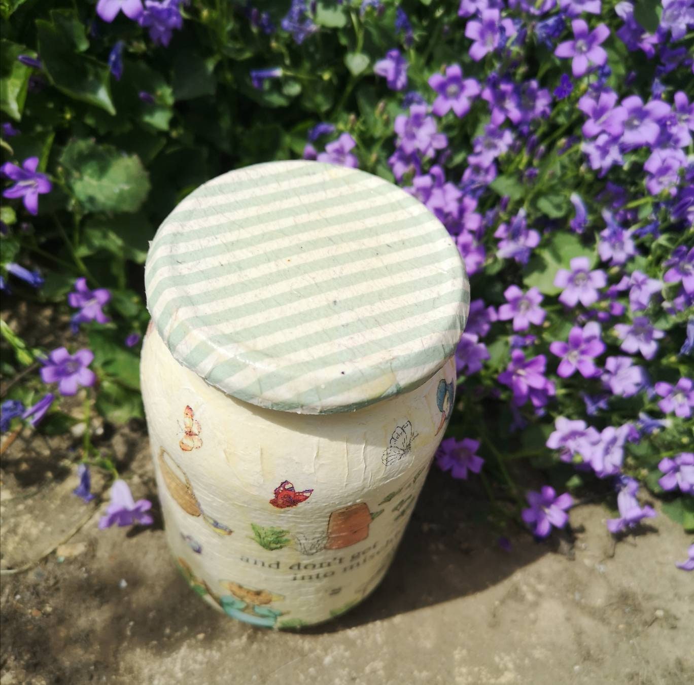 Peter Rabbit Money Jar Keepsake Jar Cooke Jar Storage Jar | Etsy