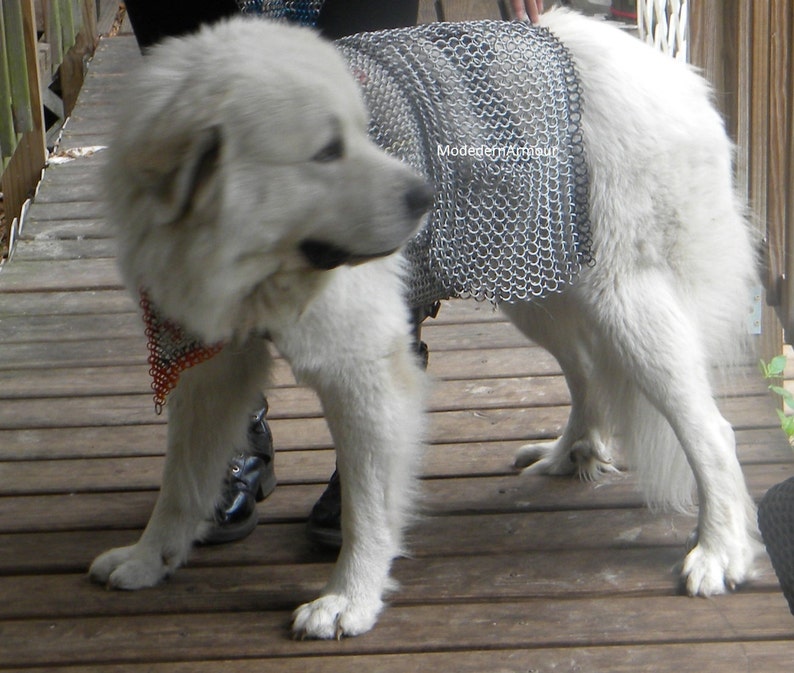 Chainmail Protective Dog Armor Hunting Class | Etsy