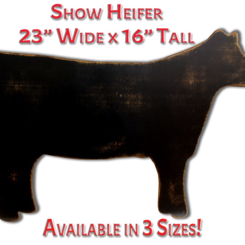 Show Heifer - Etsy