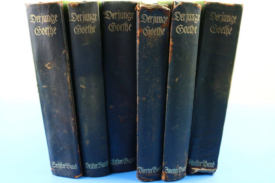 Set of 6 Der Junge Goethe Leather Books German Collection - Etsy