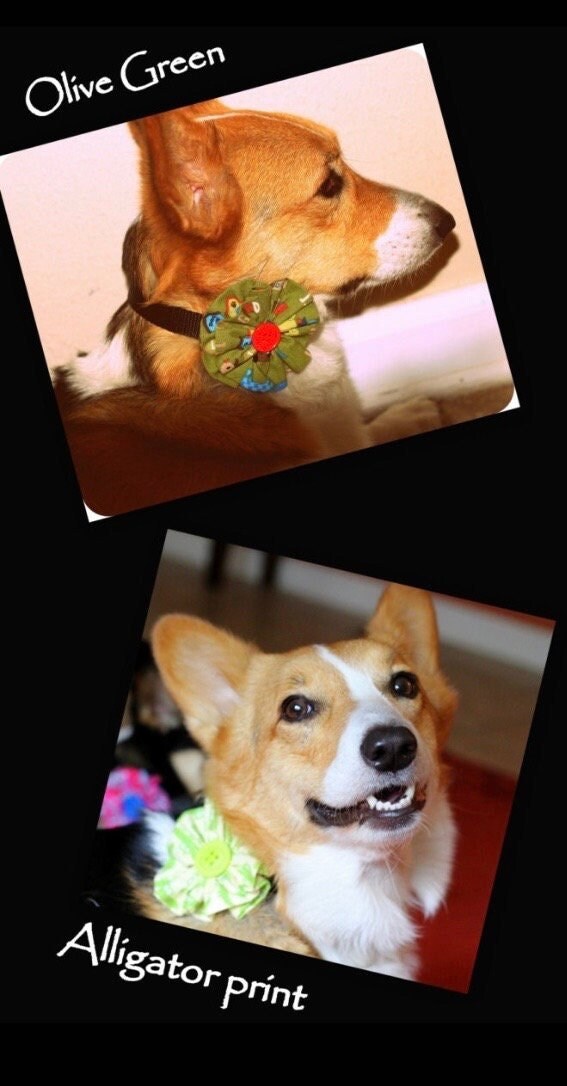 Pinwheel Style Dog Collar Flowers Available in a Variety of Prints ...