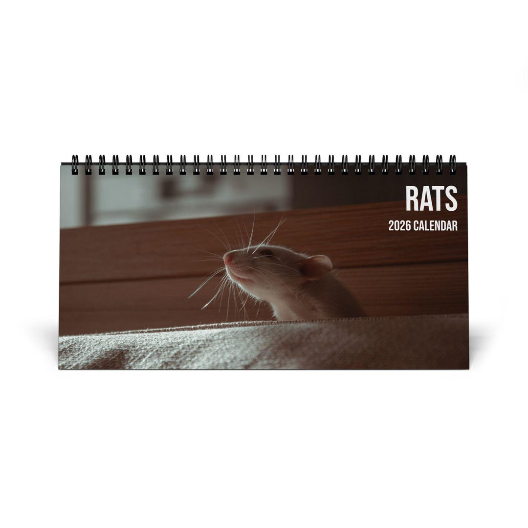 Rats - 2026 Desktop Calendar - Etsy