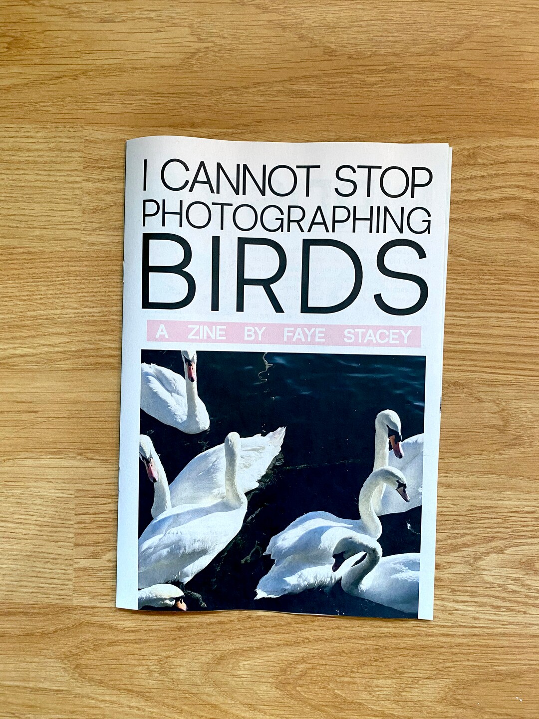I Cannot Stop Photographing Birds - Etsy