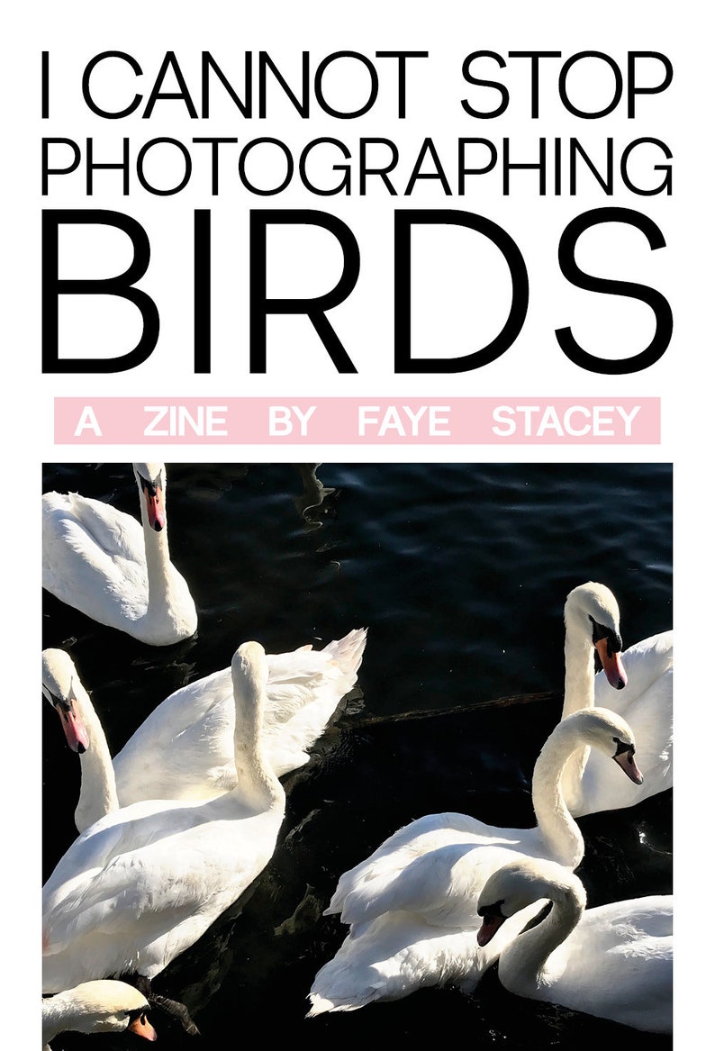 I Cannot Stop Photographing Birds - Etsy