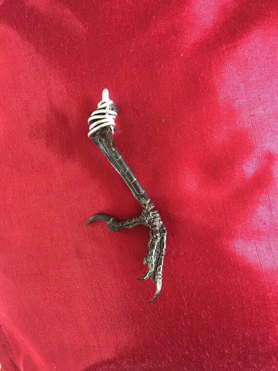 Real Crow Foot With Silver Fitting for Your Necklace Chain or | Etsy