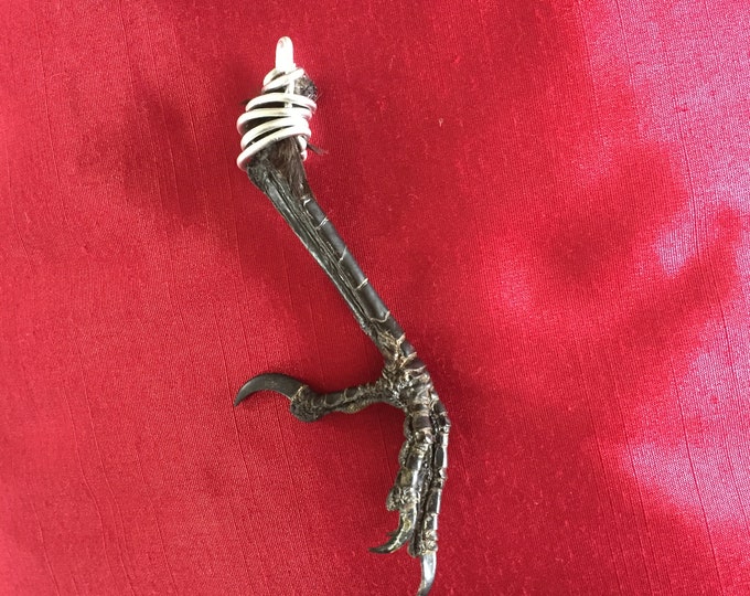Real Crow Foot With Silver Fitting for Your Necklace Chain or Cord - Etsy