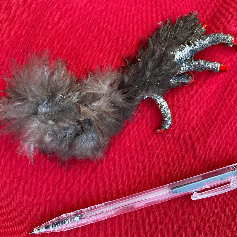 Hoodoo Chicken Feet - Etsy