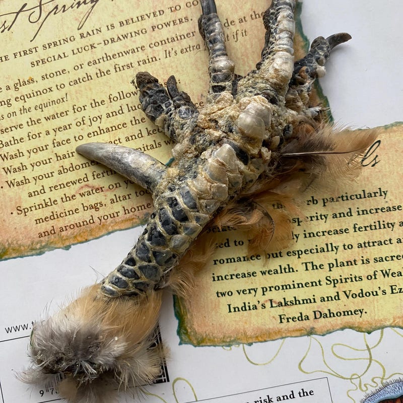 Hoodoo Chicken Feet - Etsy