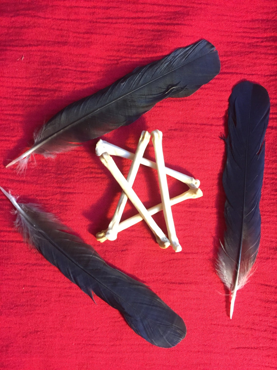 Five Genuine Carrion Crow Leg Bones and Feathers. Pentagram - Etsy