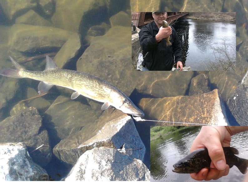 Mermaid Fishing Lure by Venus Royal. Set of Two. - Etsy