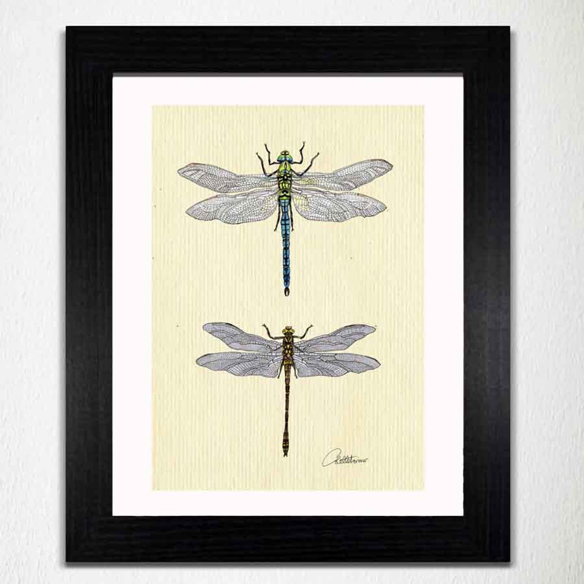 Dragonfly Picturedragonfly Printdragonfly Painting Hand - Etsy