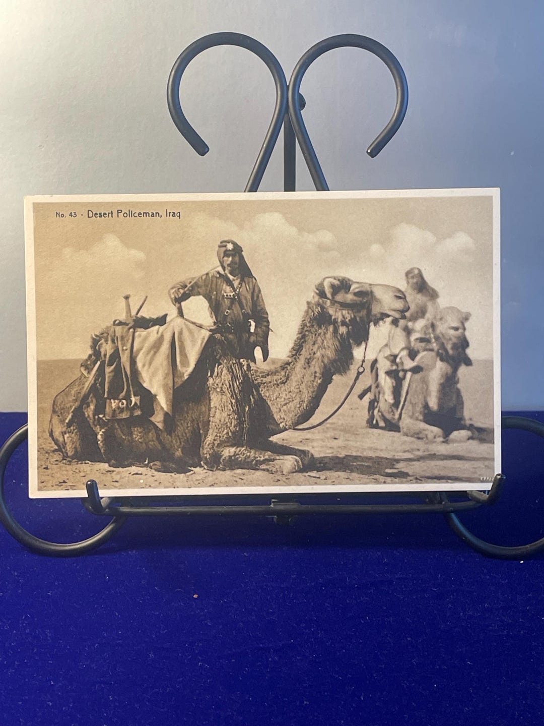 VW78G, Vintage, IRAQ, View, Postcard, the Desert Policeman, A and K ...