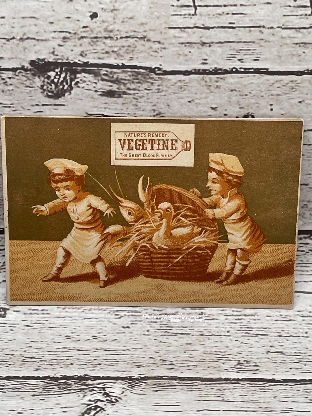 VTC020, Victorian 1800s Trade Card, Little Chefs, Basketfull With Duck ...