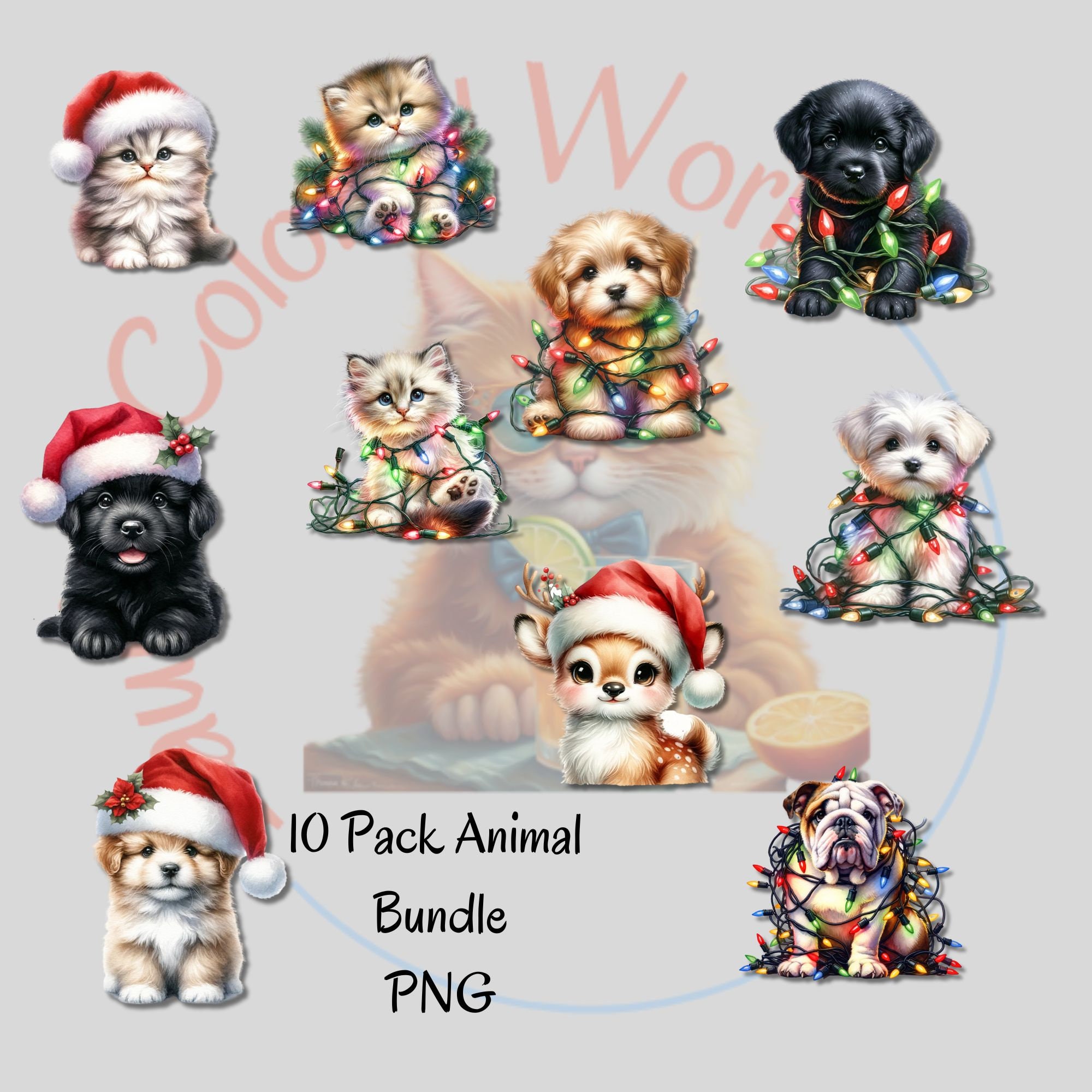 Christmas Clip Art 3 PNG Animals Bundle, Puppy Dogs, Kittens, Christmas ...