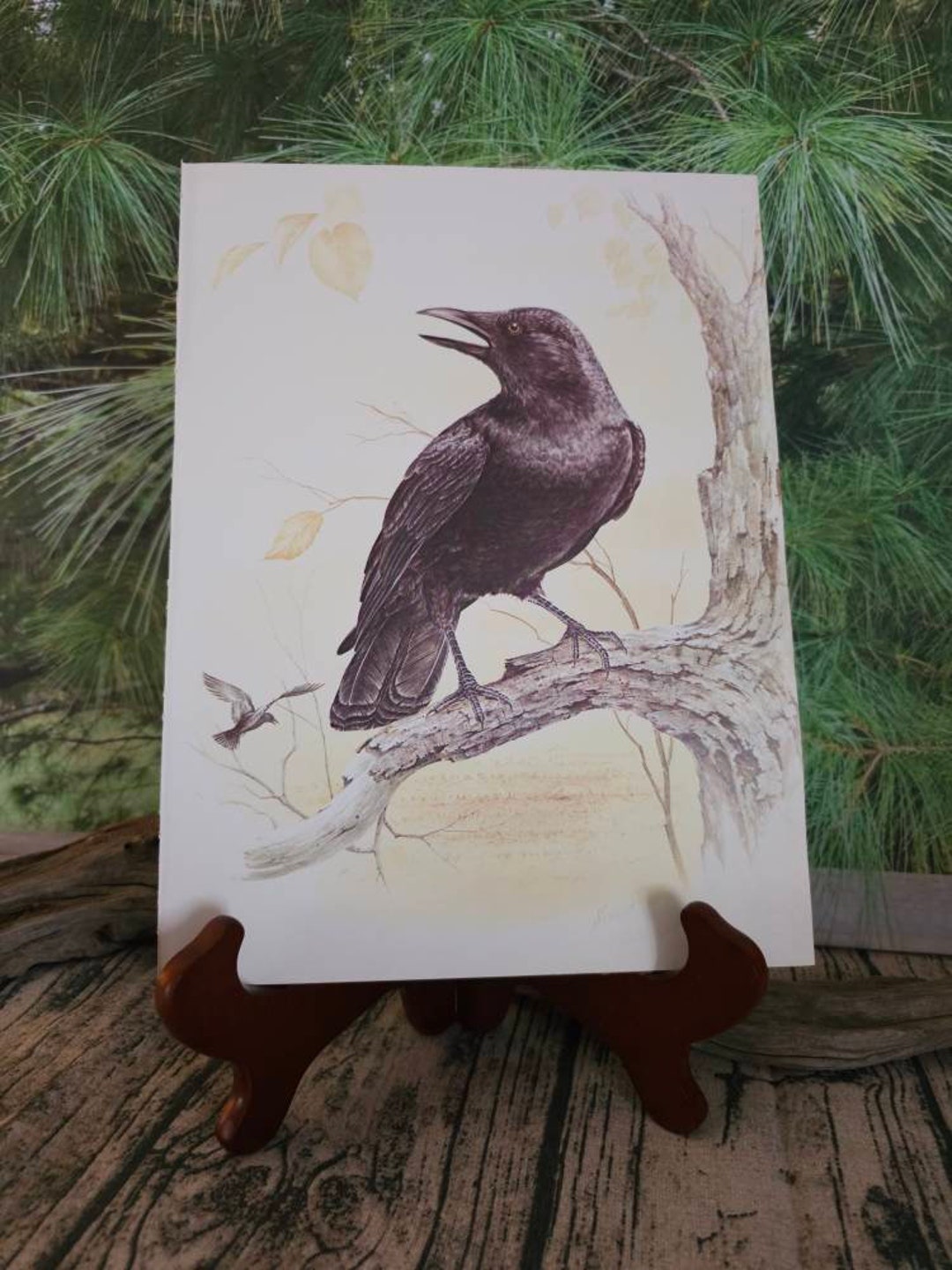 Common Crow in Tree Wildlife Print Severt Andrewson Original Wildlife ...