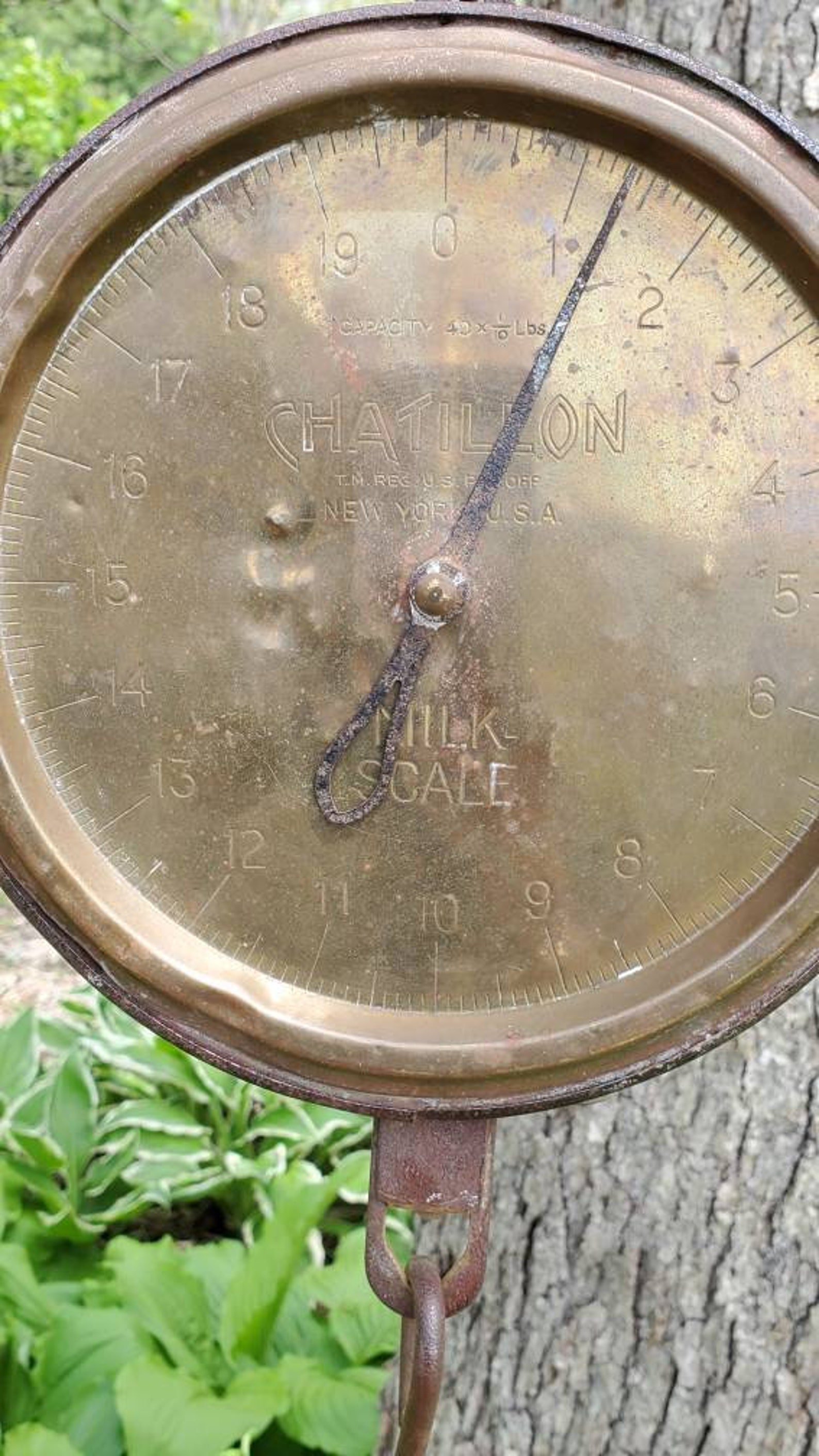 1920s Hanging Brass Face Milk Scale Chatillon 40 Lbs. X 1/10 Lbs ...