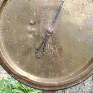 1920s Hanging Brass Face Milk Scale Chatillon 40 Lbs. X 1/10 Lbs ...