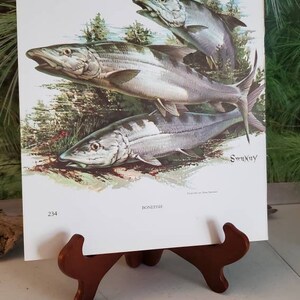 1970 Fred Sweney Bonefish & Broadbill Swordfish Signed Bookplate 233 ...
