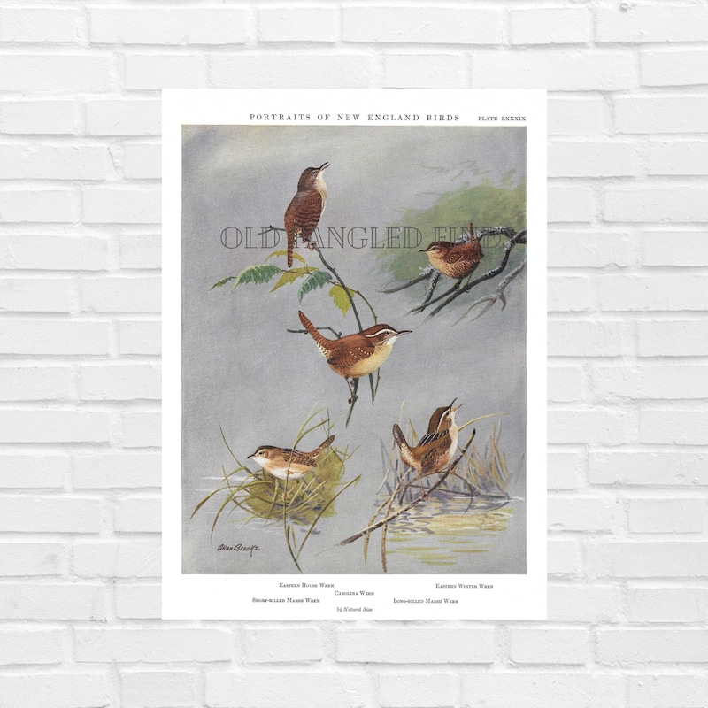 OldFangledFinds - Etsy