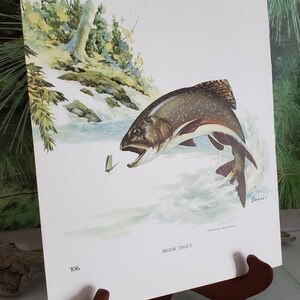 Vintage Fred Sweney Brook Trout Art: Signed Fish Print Wall Decor #4412 ...