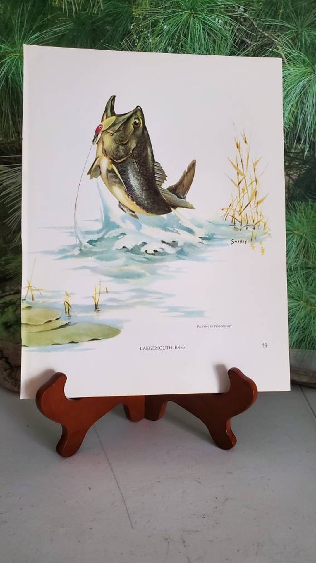 Signed Fred Sweney Bass Bookplate: Vintage Fish Art Print - Etsy