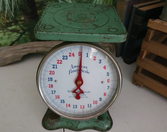Rare Vintage American Family Scale, Antique Scale, Circa 1920's ...