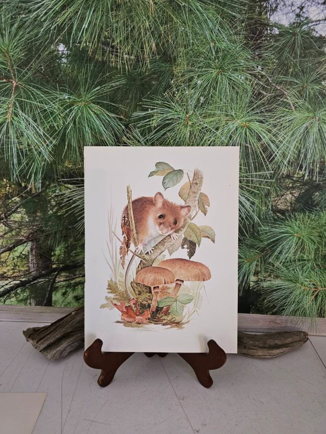 Mouse & Toadstools Andrewson Original Color Lithograph Bookplate ...