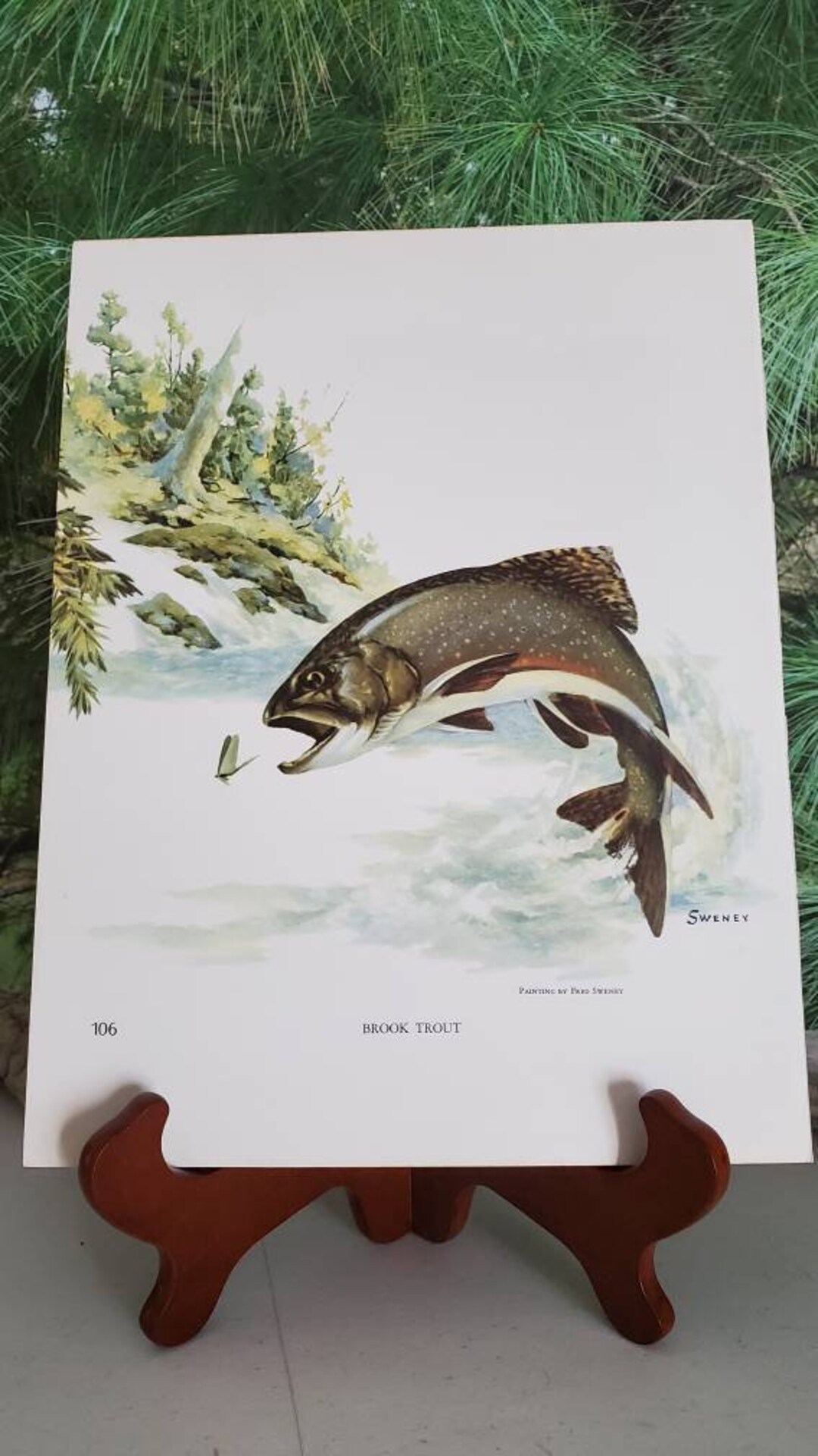 Vintage Fred Sweney Brook Trout Art: Signed Fish Print Wall Decor #4412 ...