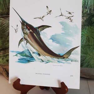 1970 Fred Sweney Bonefish & Broadbill Swordfish Signed Bookplate 233 ...