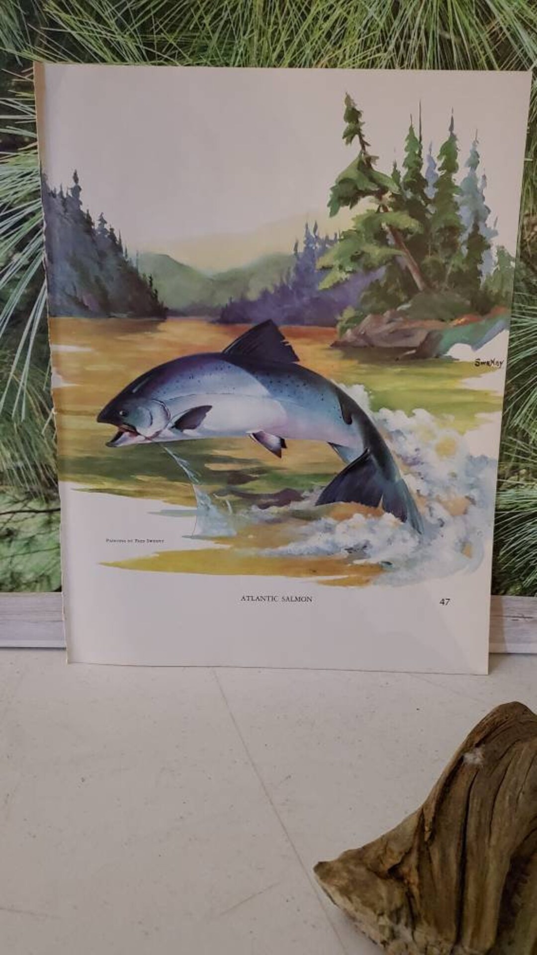 Fred Sweney Atlantic Salmon & Landlocked Salmon 1972 Signed Double ...