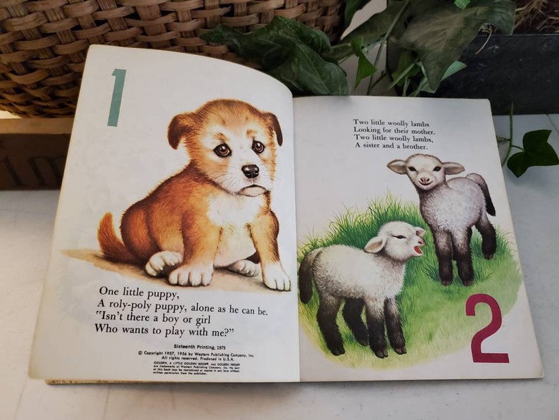 1975 my First Counting Book A Little Golden Book / - Etsy