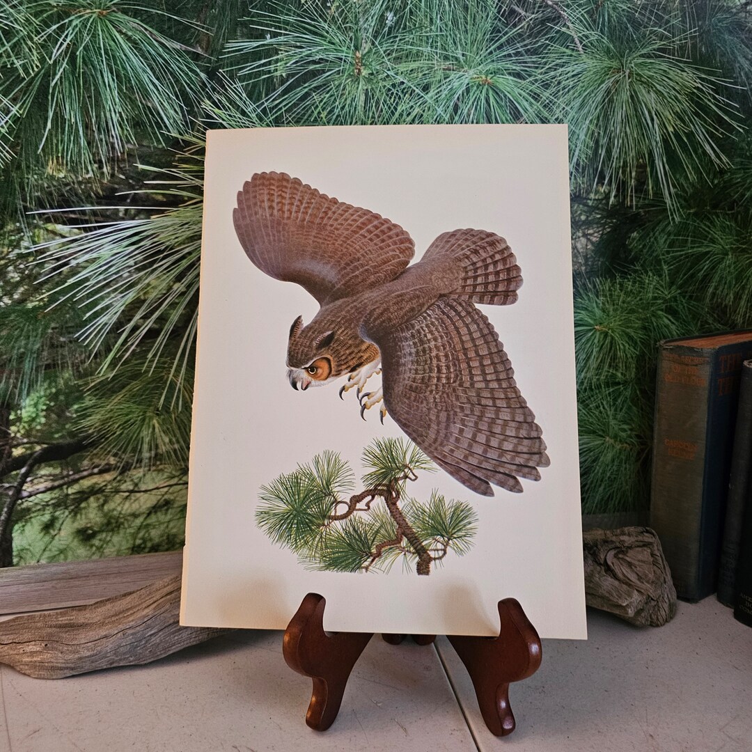 1950s Great Horned Owl Athos Menaboni Color Book Plate Vintage ...