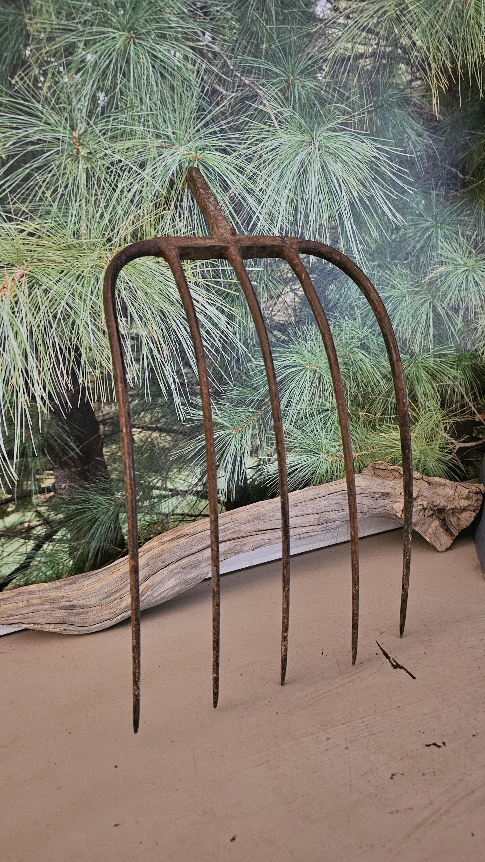 Rusty 5 Tine Pitchfork Head Cast Iron Distressed Farmhouse Tool #4770 ...