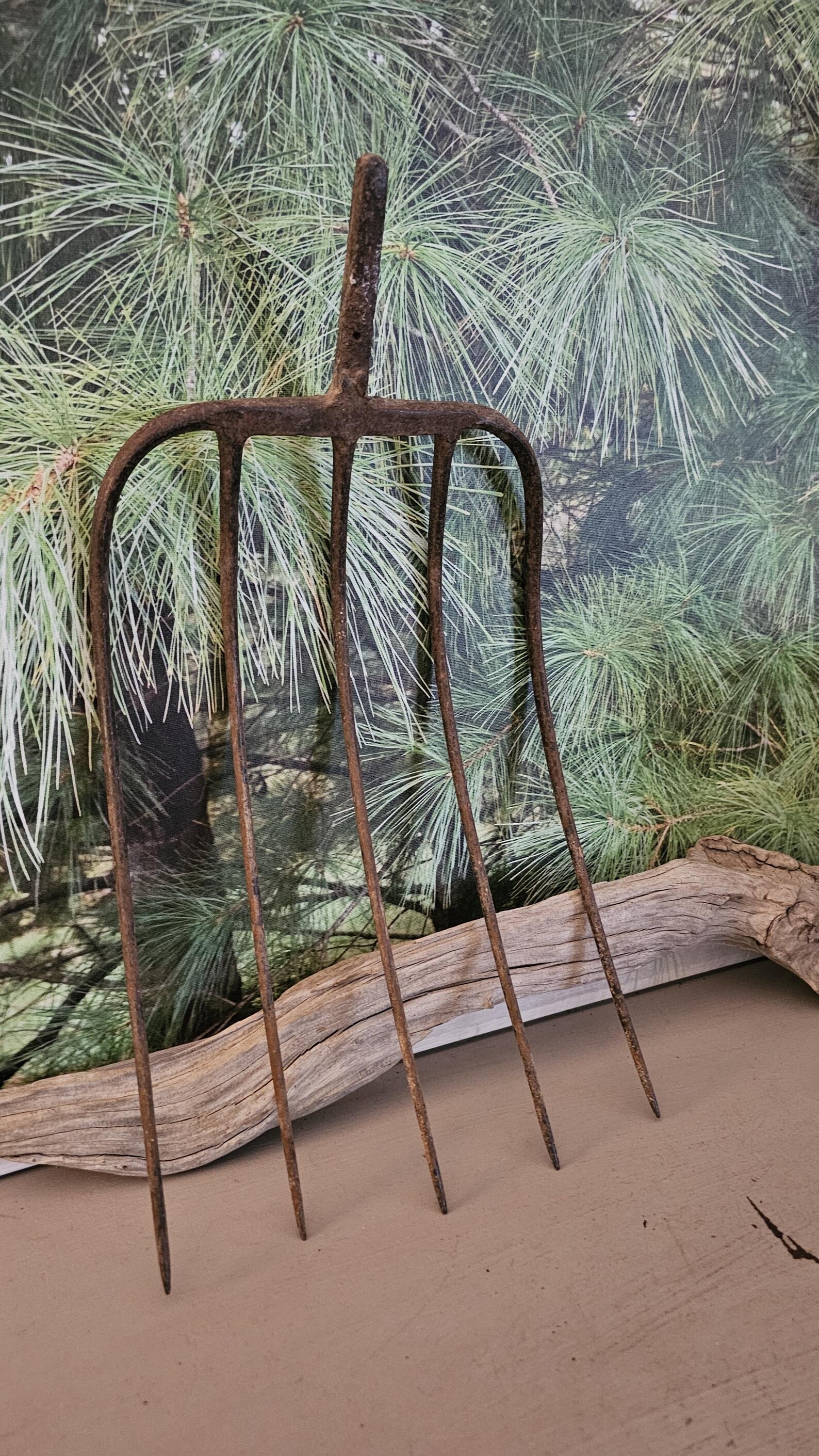 Rusty 5 Tine Pitchfork Head Cast Iron Distressed Farmhouse Tool #4770 ...