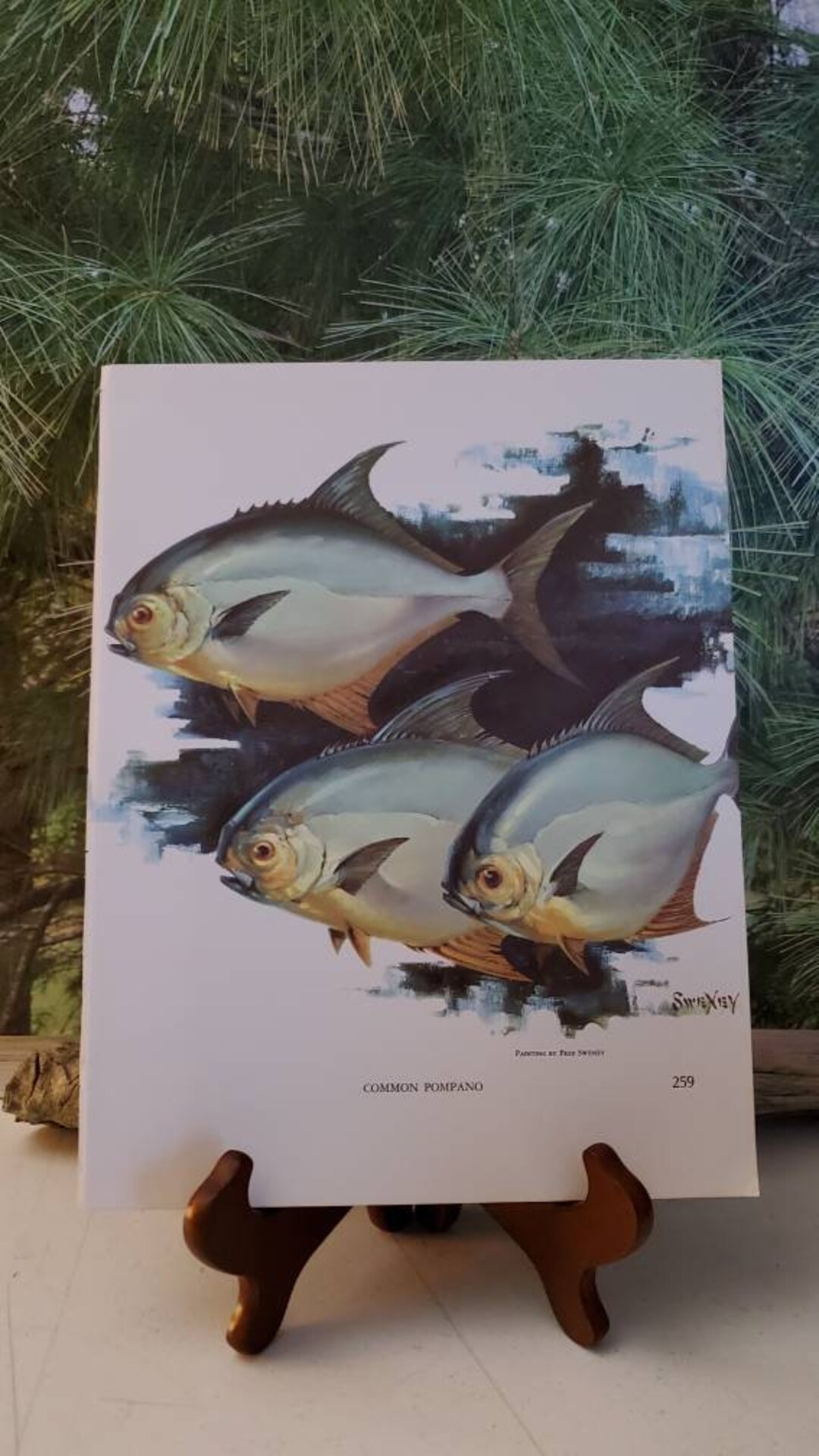 1970 Fred Sweney Common Pompano Signed Bookplate 259/260 Vintage Color ...