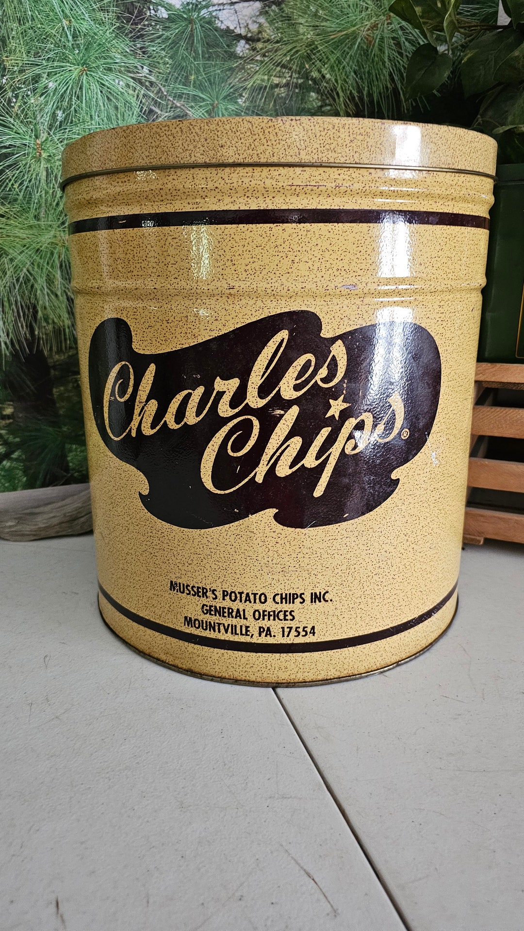 48 Ounce Beige & Brown Charles Chips Potato Chip Can Vintage ...