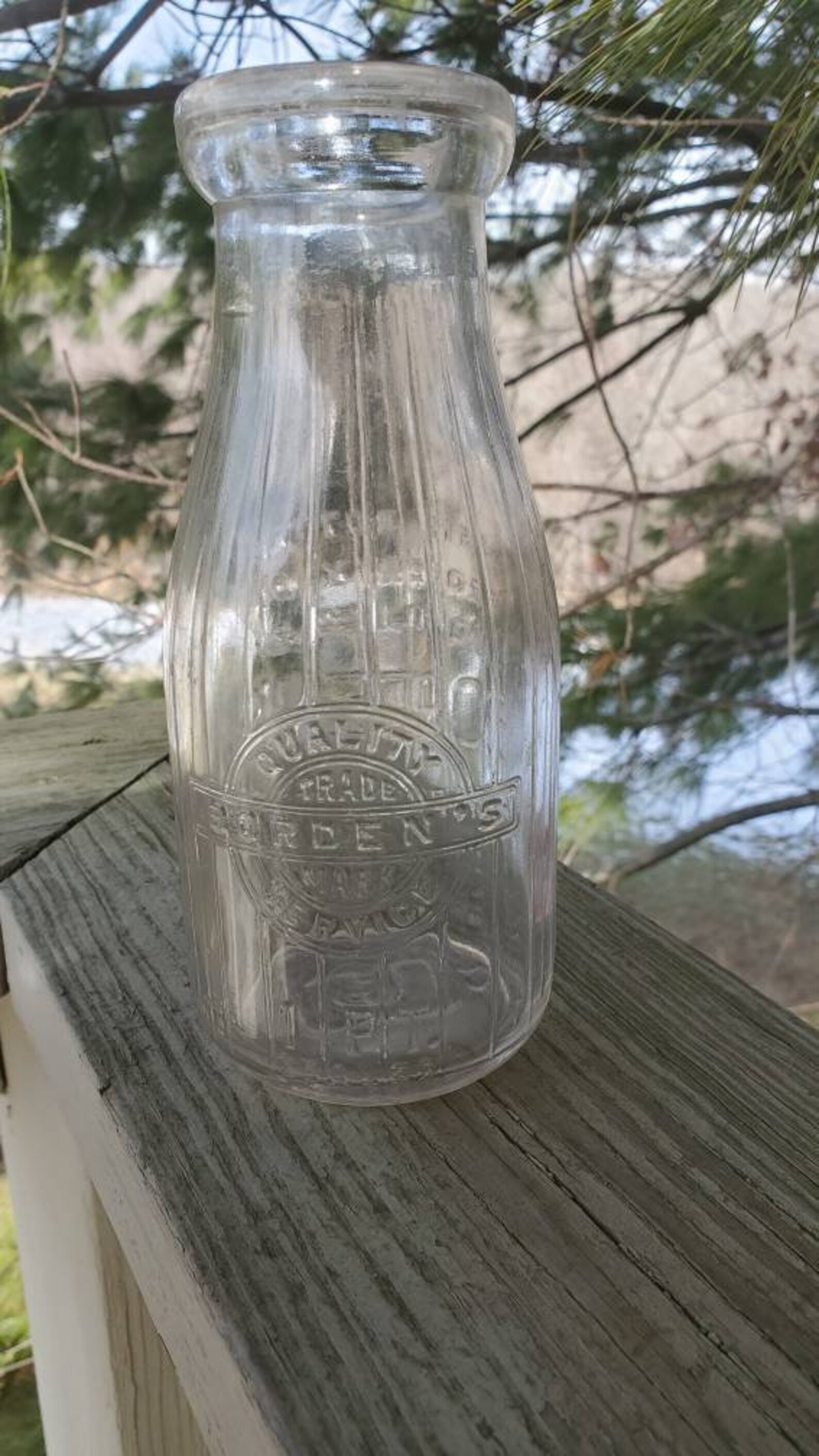 BORDEN'S Ribbed Pint Clear Glass Embossed Milk Bottle - Etsy